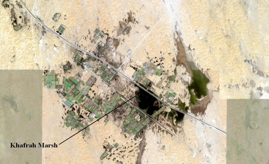 Birds of Saudi Arabia: Khafrah Marsh - Location Details