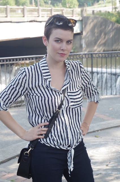 The Picturesque Liar