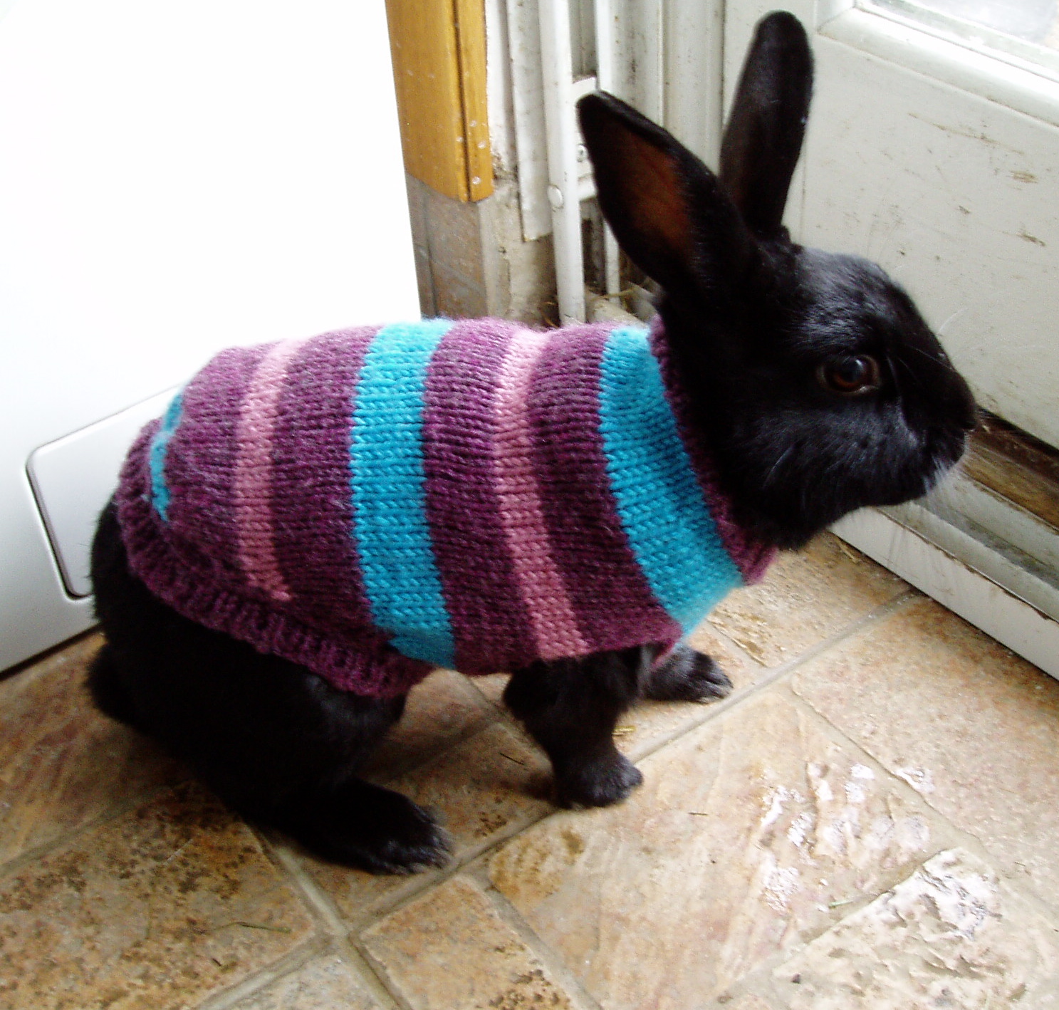 sukilii blog: bunny sweaters