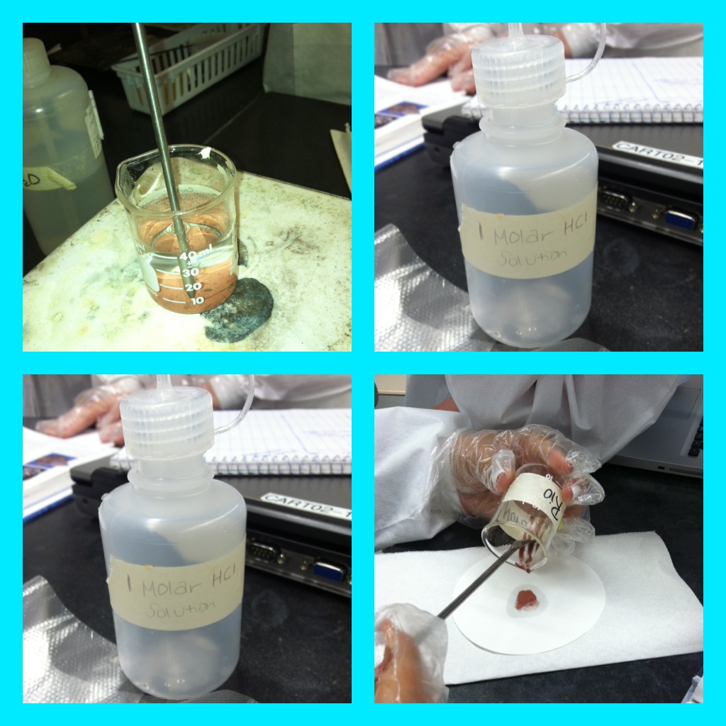 Juliet's Chemistry Blog: Retrieving Copper Lab Data