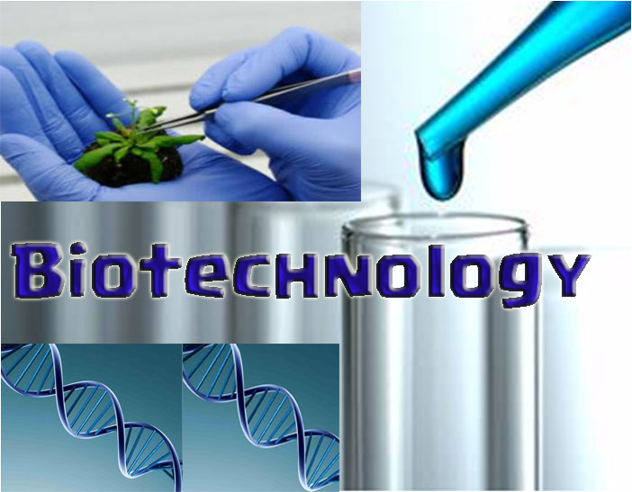 "IQ-khey": Bioteknologi dan Aplikasinya di Bidang Pertanian