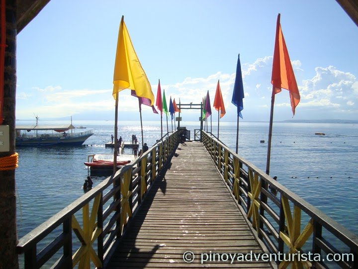 Davao Del Norte - Giant Slide and Canopy Walk at Maxima Aqua Fun Resort ...