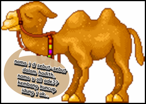 ~Nur Hidayah~: Bonggol Jalan ok lg,Bonggol unta??