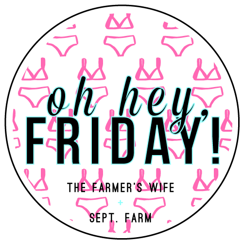 Oh Hey, Friday! - Peaches and Willow