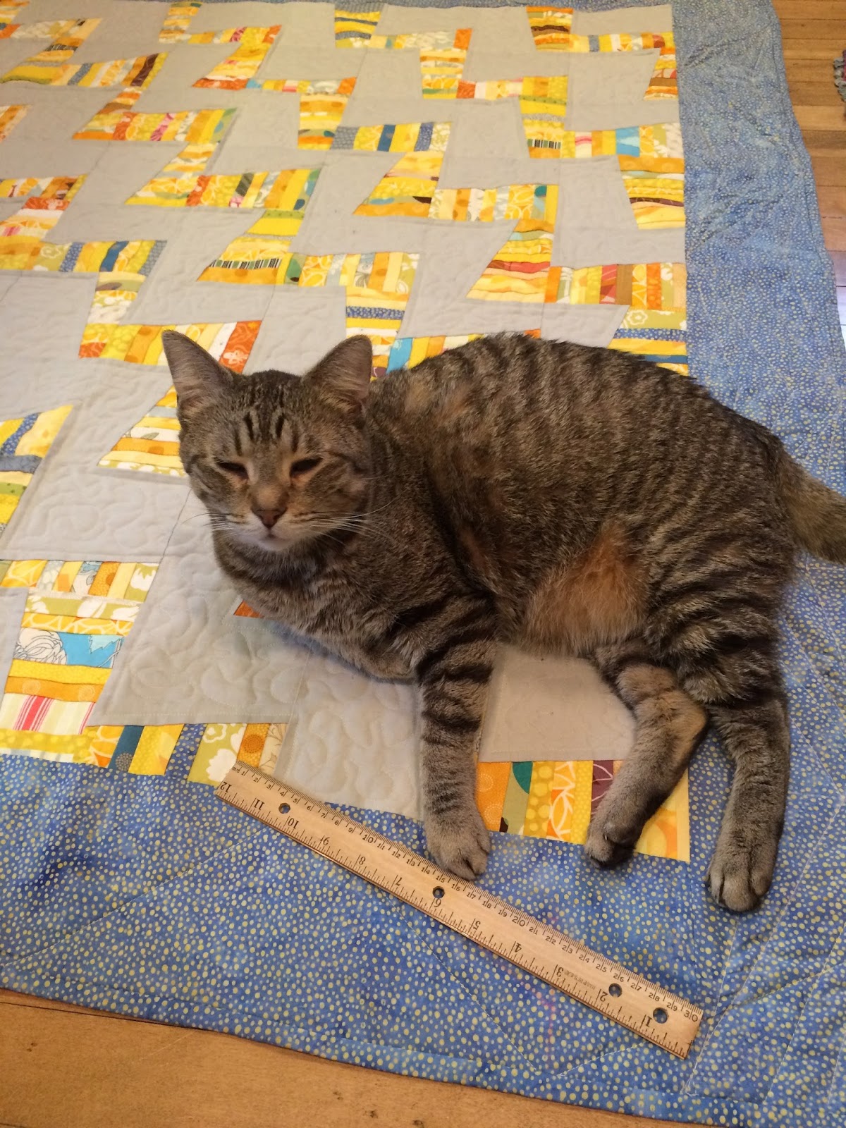 Sewing Machines and Sew Forth: Lightning Bolt Baby Quilt