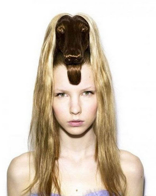 15 Amazing Animals Hairstyle Collection | Weird Things, Weird Pictures ...