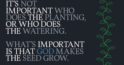 Leef je geloof: 1 Cor 3: Het is God die groei geeft