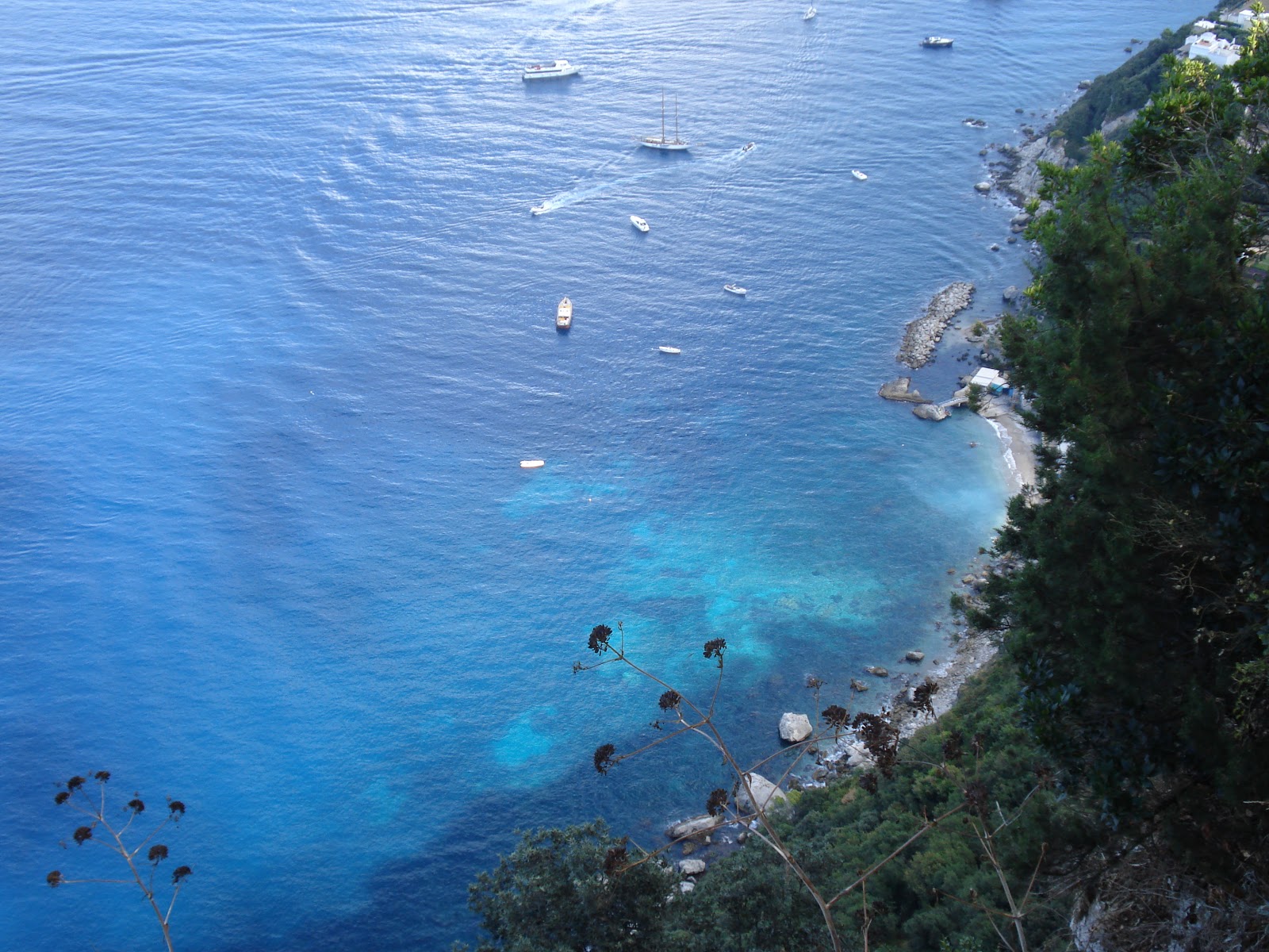 Alexandra D. Foster Destinations Perfected: Capri, Italy - Today I'm ...