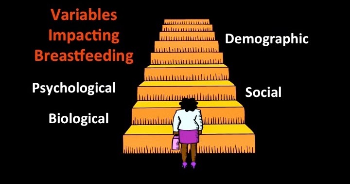Hug Your Baby: Variables Impacting Breastfeeding Duration