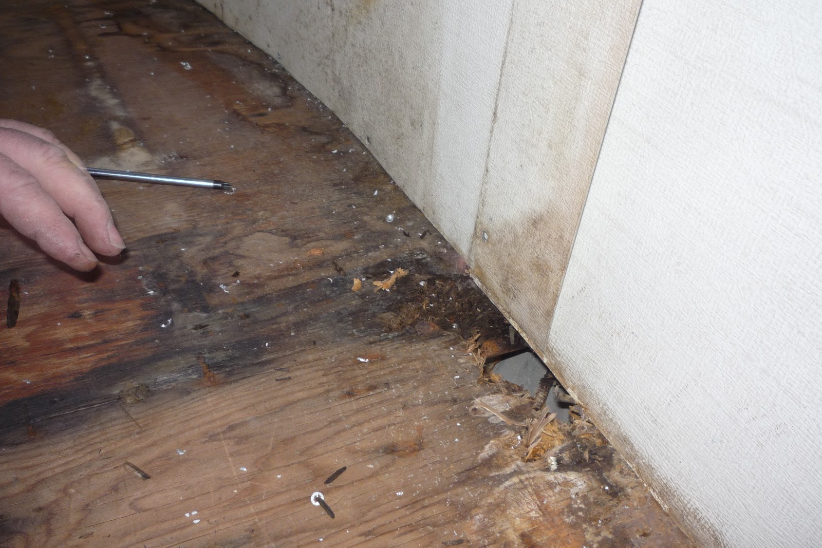 Tin Pickle Adventures: Floor repairs