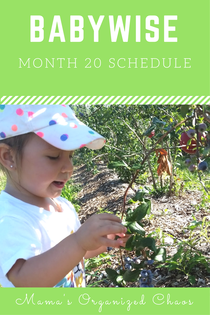 20 MONTHS - Mama's Organized Chaos