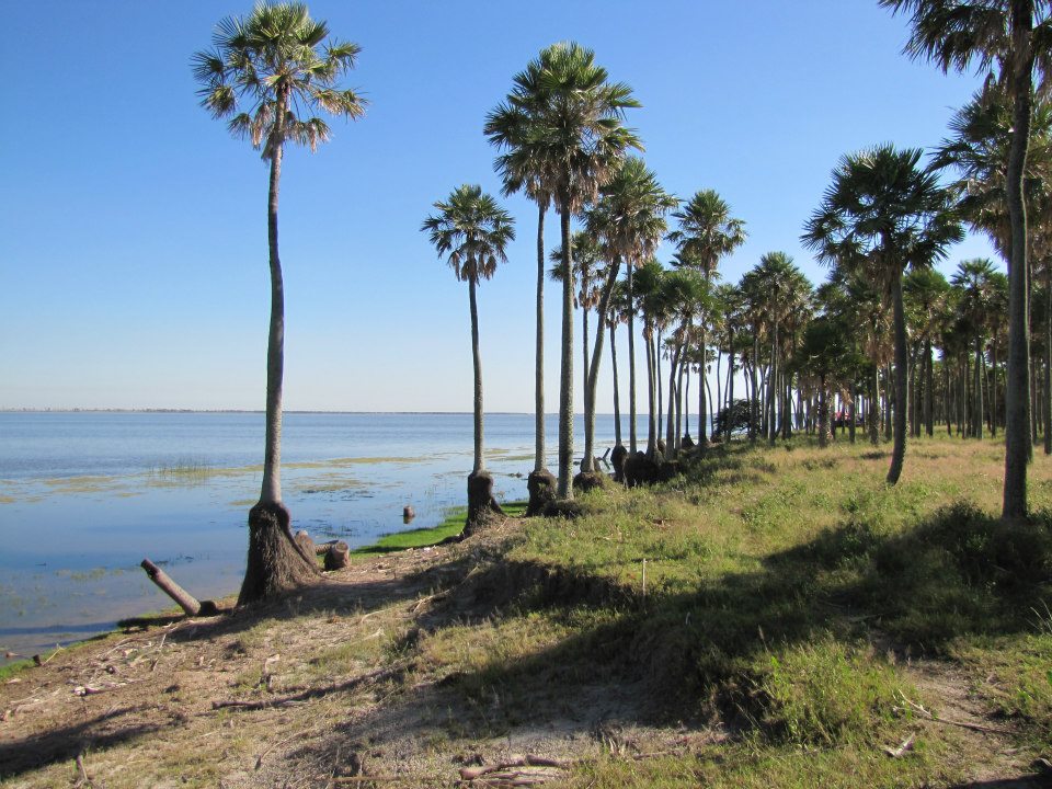 Turismo Norte de Santa Fe - Laguna El Palmar