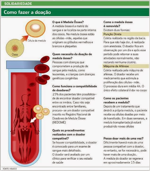 ACESSIBILIDADE SAÚDE E INFORMAÇÃO: Você sabe como doar medula óssea?