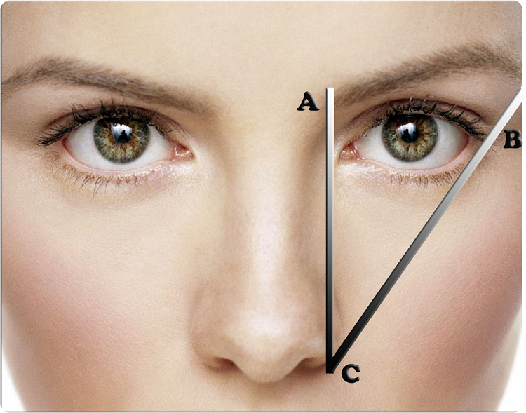 Entre estética y cosmética: Cómo dibujar unas cejas - Medida y posición
