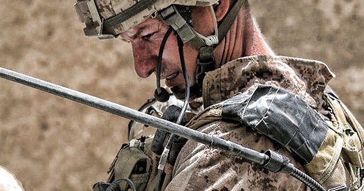 Rugged Breed : WHY NOT YOU?