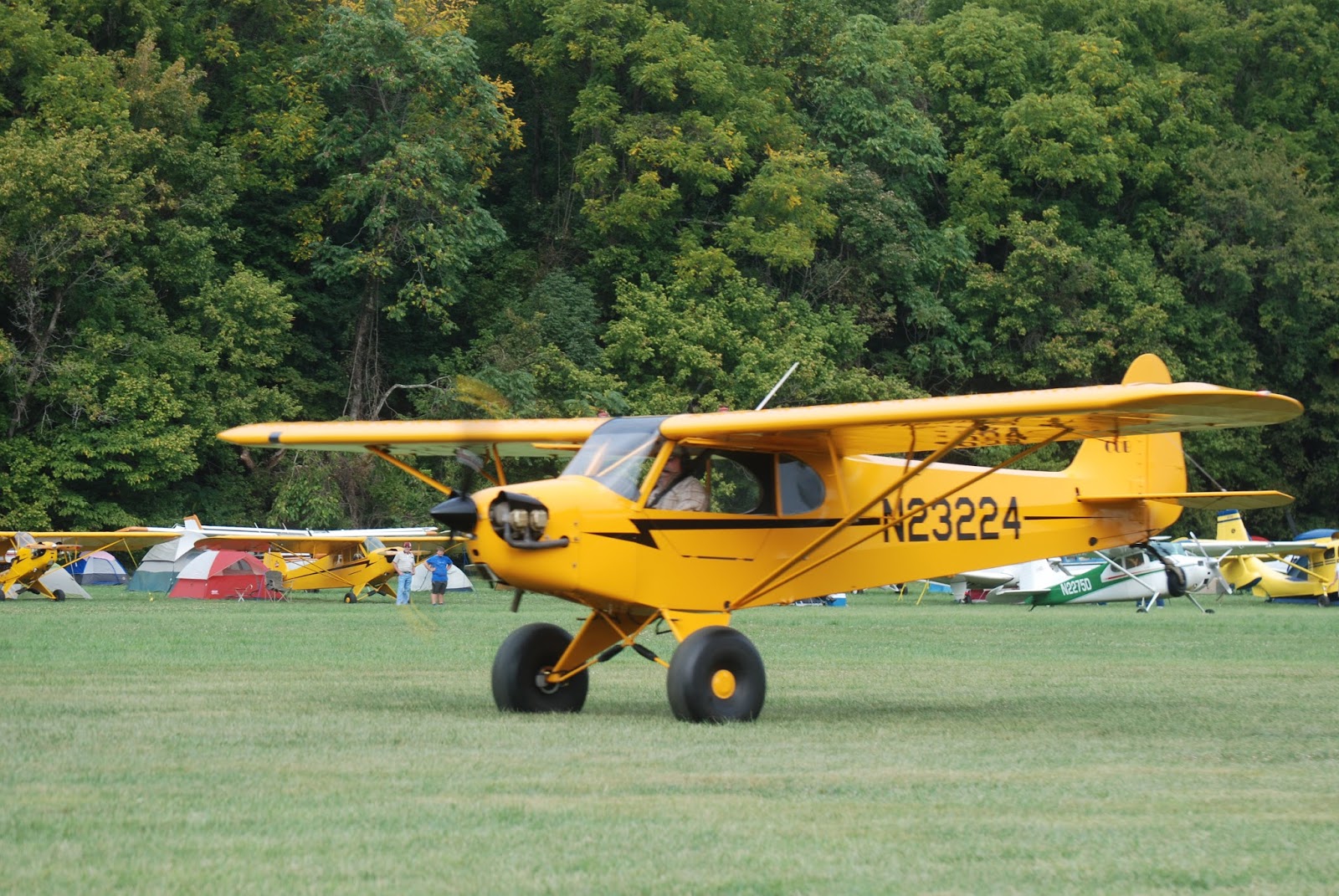 NORDO News - Aviation Unedited: NTSB Report - The Final Lee Bottom Fly-In