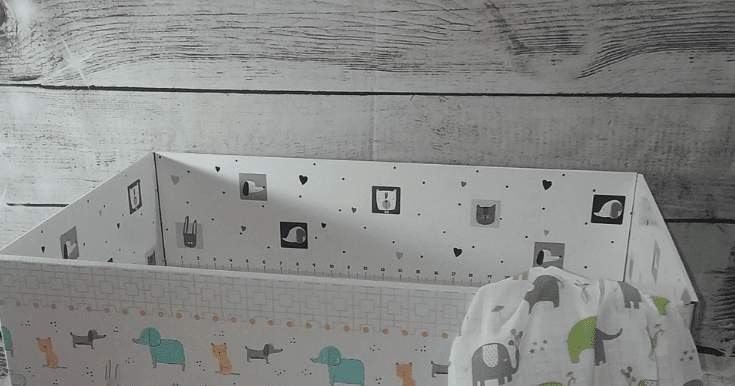 Baby Box Co is a Great Resource For New Parents - Amy & Aron's
