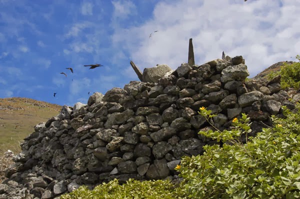 Nihoa Island, Hawaii - Travel Guide