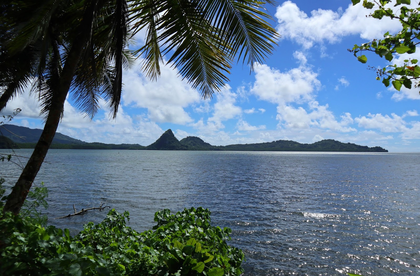 To Travel is to Live: Pohnpei