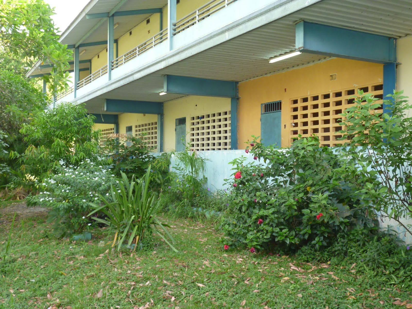 CEBG ALEMANIA BIBLIOTECA: SEMANA DEL CAMPESINO EN EL CEBG REPÚBLICA ...