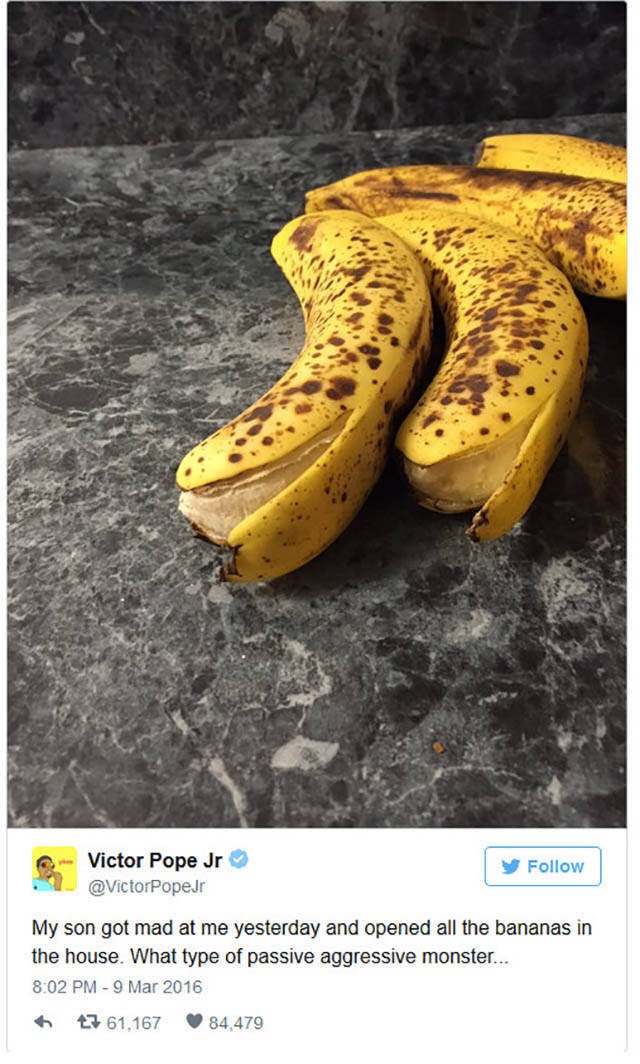 Collection Of The Best Tweets Of 2016 To Amuse Your Day (27 pics)