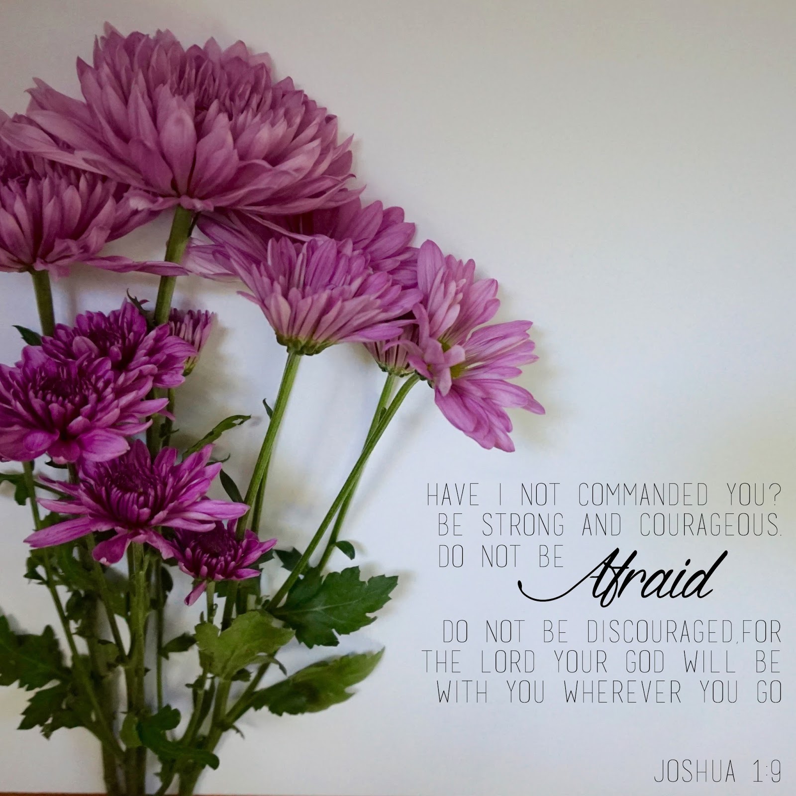 Bible Verses For When You're Feeling Afraid | Lavender Elizabeth