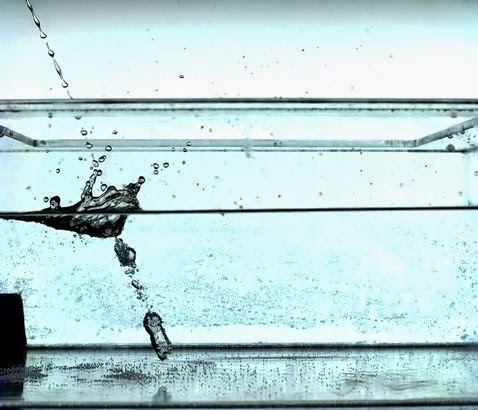 It’s a Messy Business – “Urinal Dynamics” - MyLinh Shattan