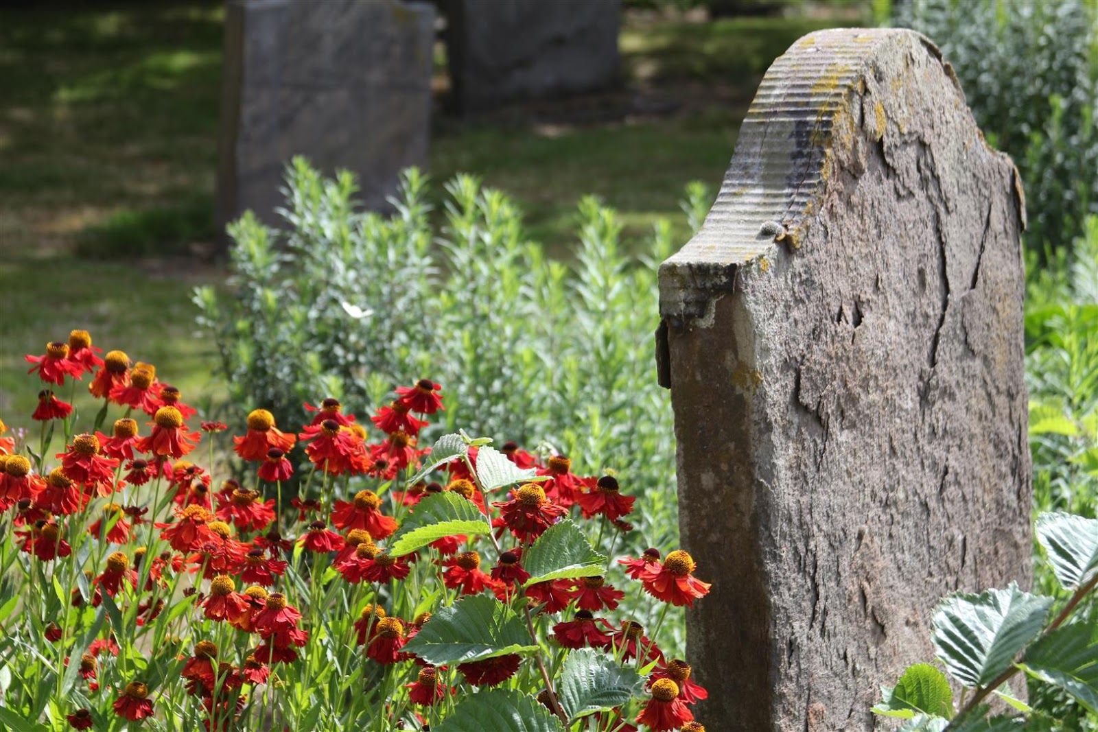 emuse: Dundee Howff cemetery