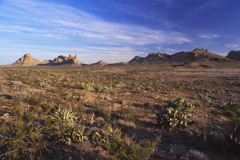 El Bolsón de Mapimí
