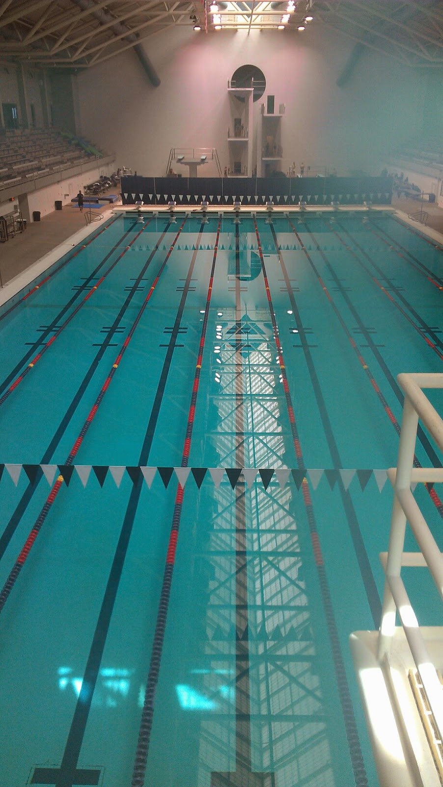 Running (Tri'ing) to Sanity: What came first?