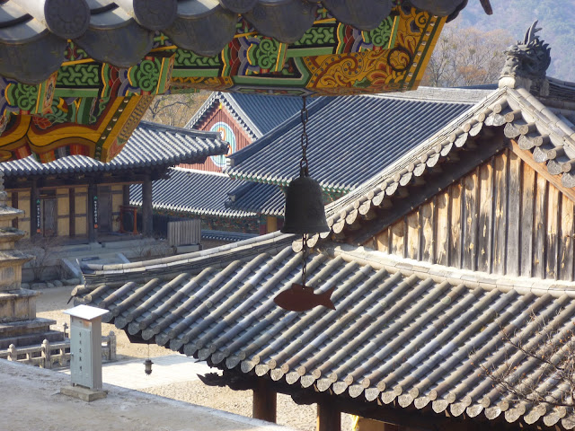 Lisa Kolumna: The Story Of How I Became A Female Buddhist Monk