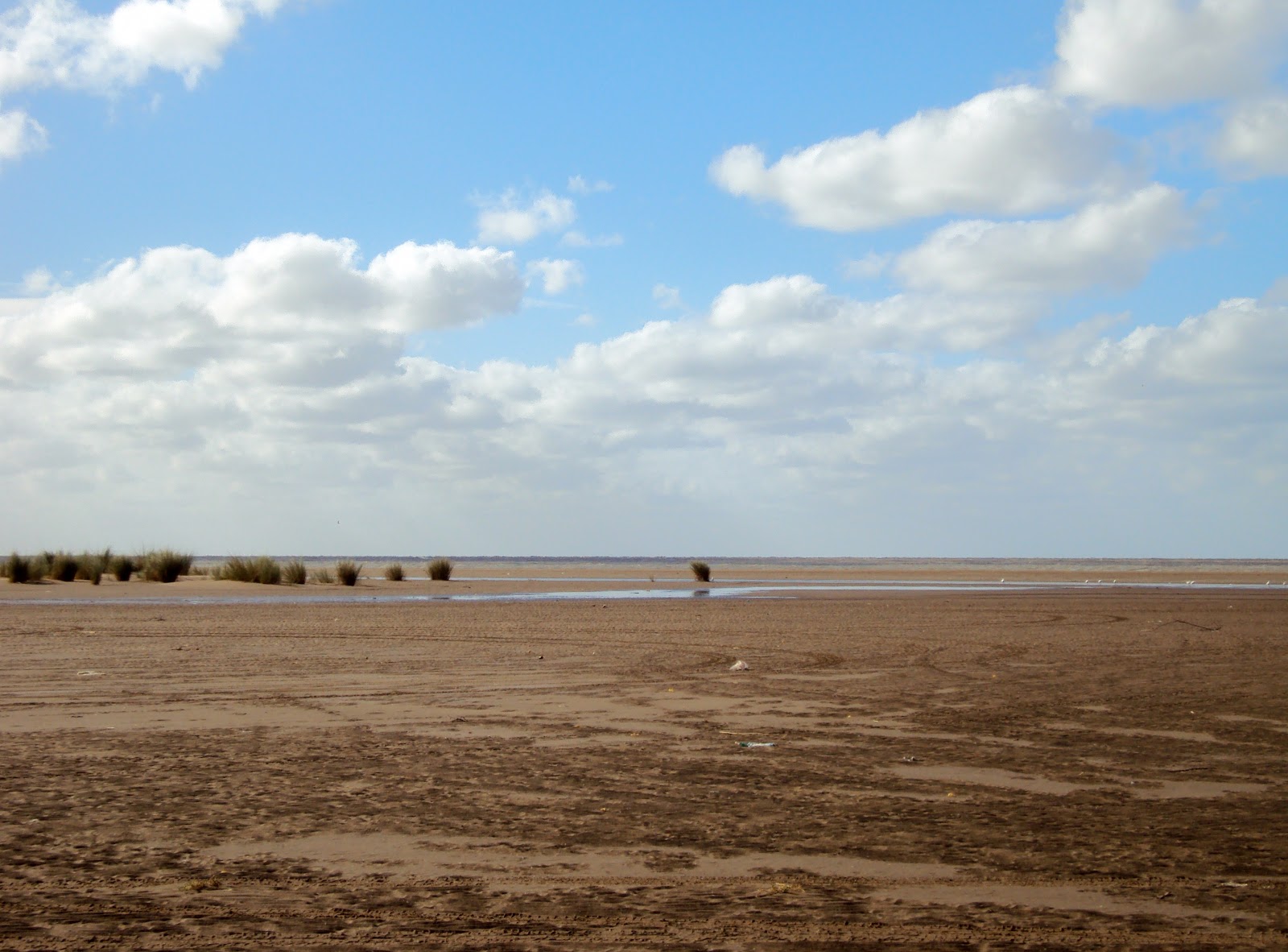 LA VIDA ES LO QUE HACEMOS ENTRE POLVO Y POLVO: Reserva Natural Punta Rasa