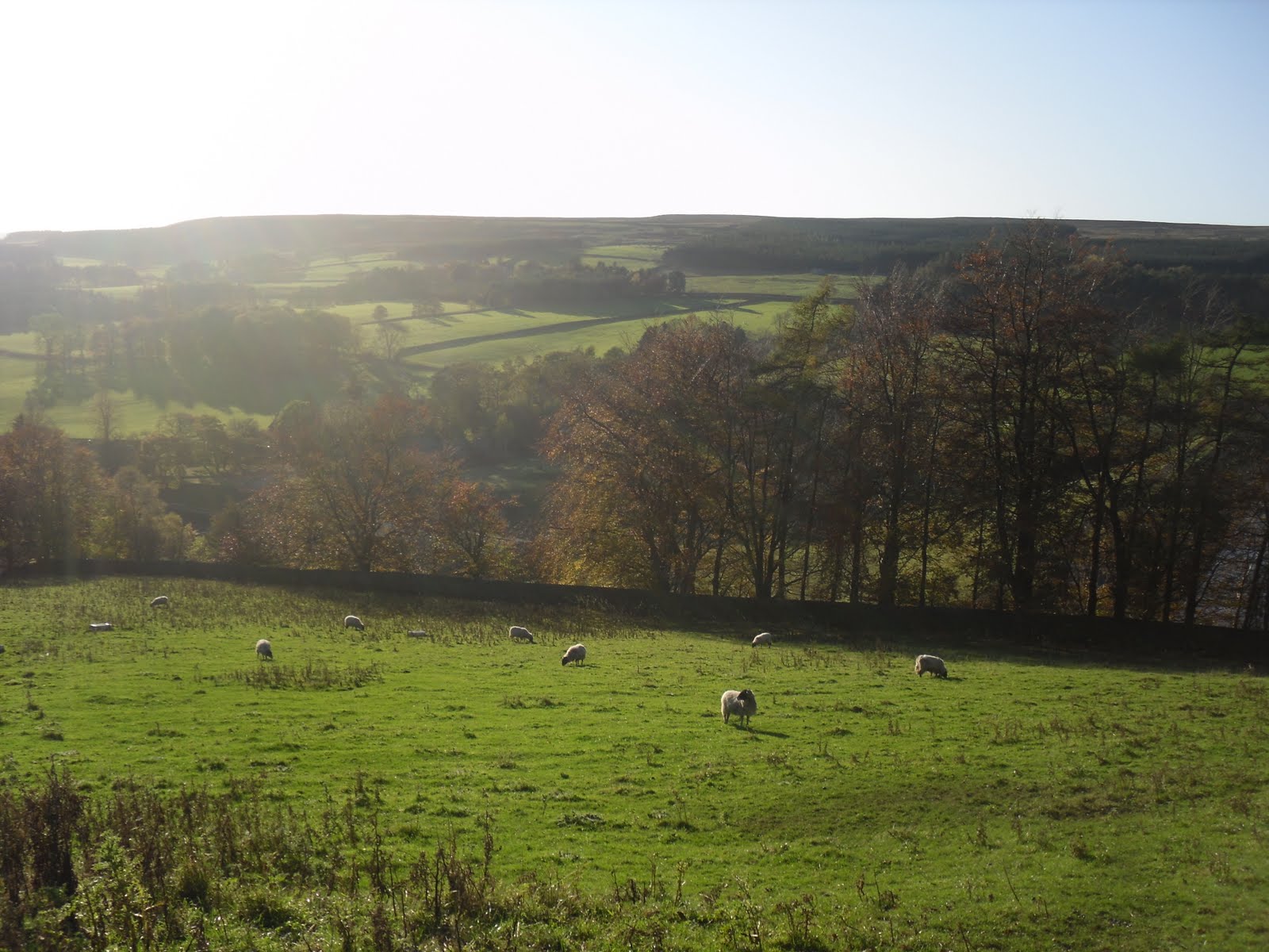 Rambling Nana: Wolsingham, Tunstall Reservoir Circular
