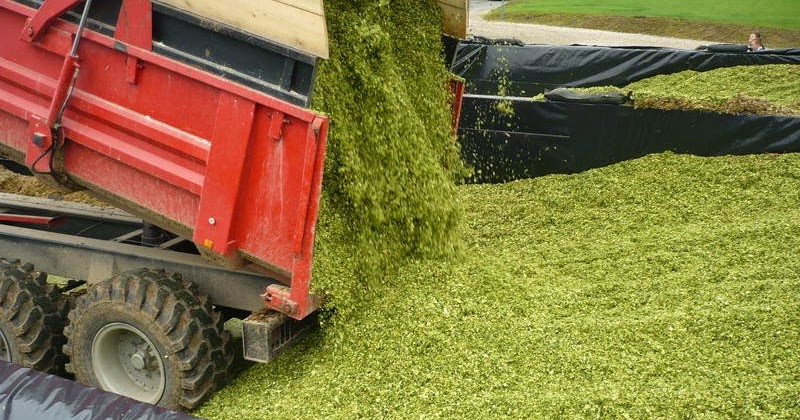 Que fait ton a l‘ensilage au lycée ? ~ tnla-2017-domaineradinghem