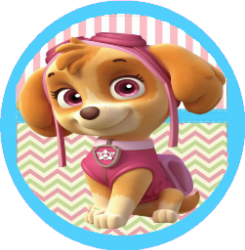 Edible Paper in Creatividades: PAW PAW PATROL