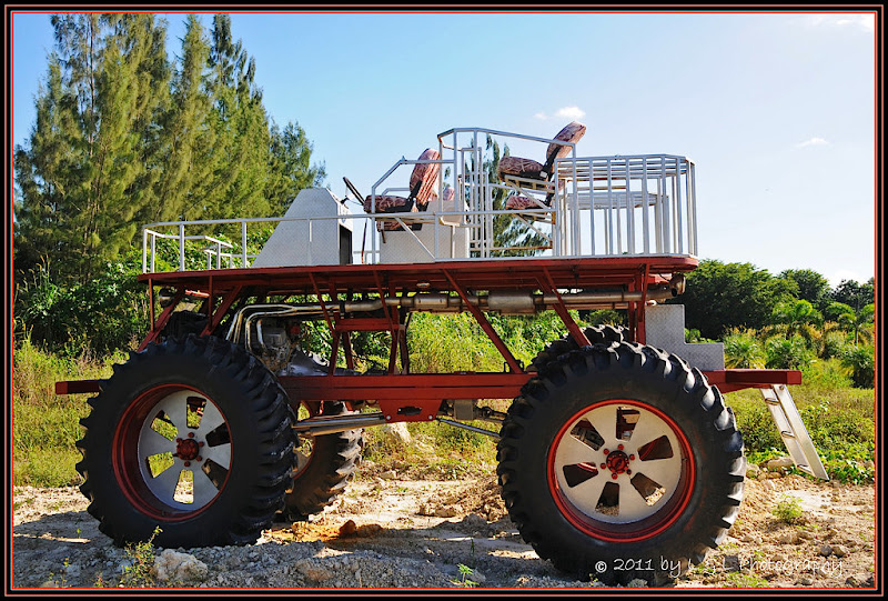 Images - The Art of Photography: Swamp Buggy