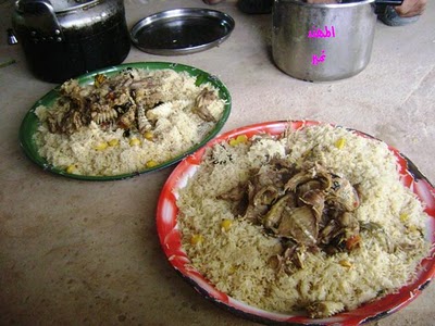 doubleREDapples: BIZARRE Rice Cooking : Dhab Briyani (lizard)