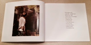 The First Grade Bloom: Rocks!