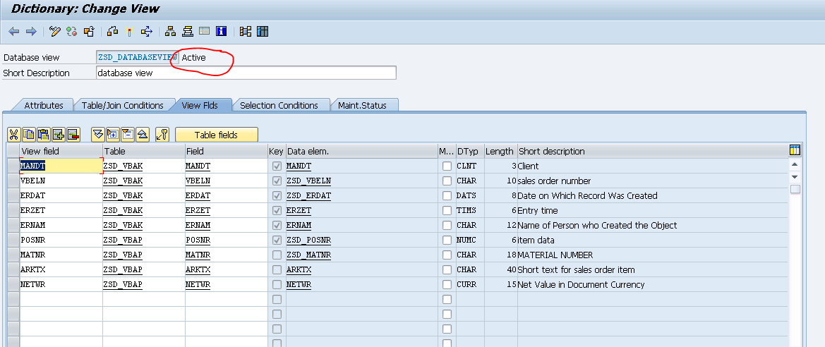 SAP TECH: Database View