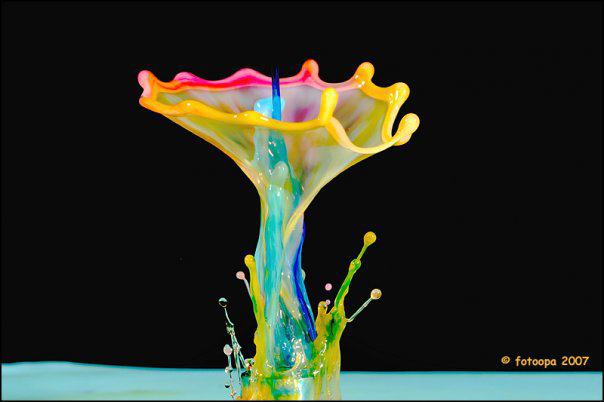 Colors of life Life Time Photography