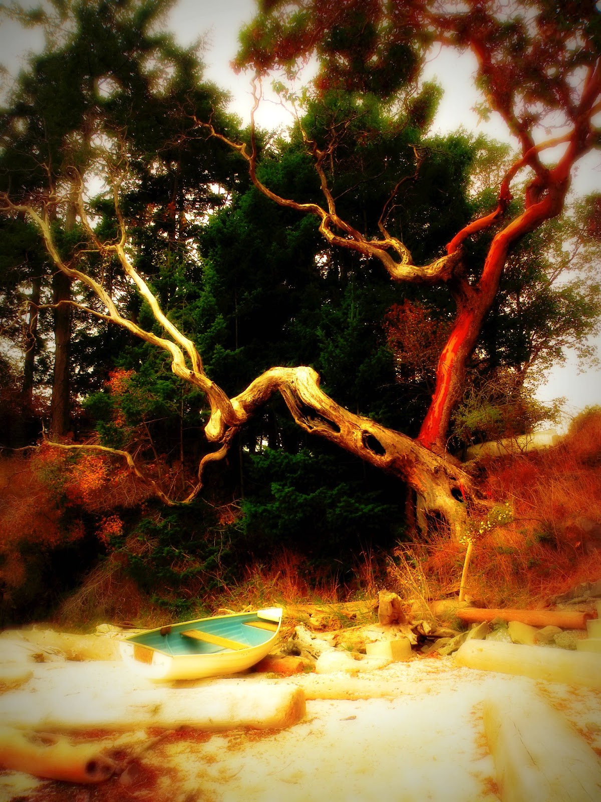 farmlass: Saltspring Island revisited...