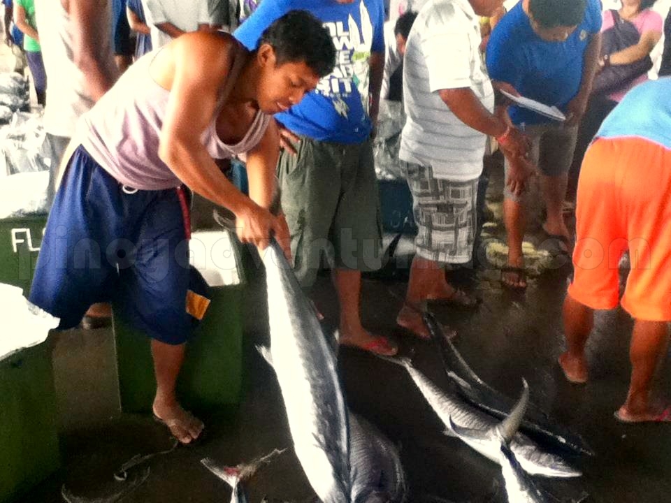 Camarines Norte - Mercedes Fish Port, Cayucyucan Beach, Catandunganon ...