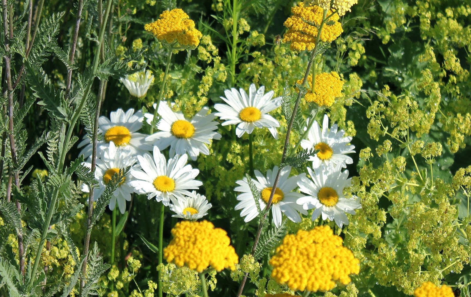 Travel & Adventures: Moscow, Russia, four seasons. The Nature of Moscow ...