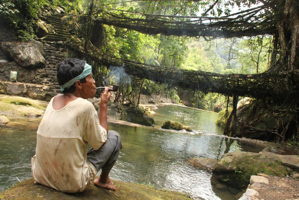 The Living Root Bridges of India ~ Kuriositas
