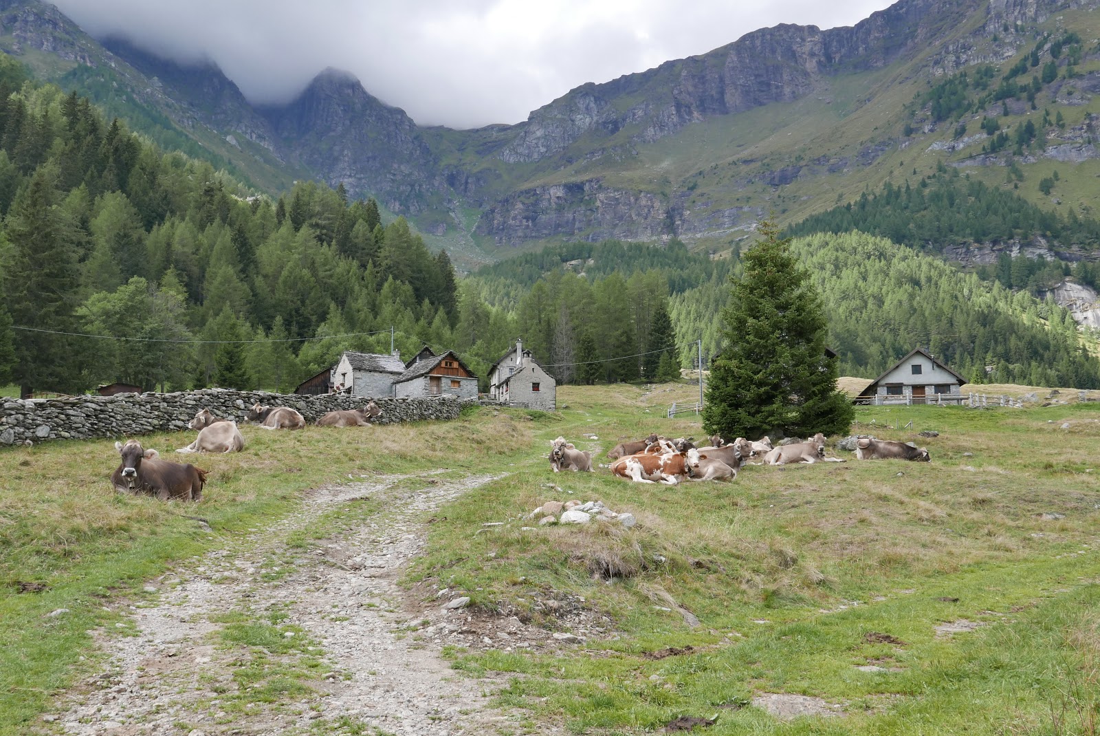 Alpe Cross: Antillone - Alpe Vova (Val Formazza)