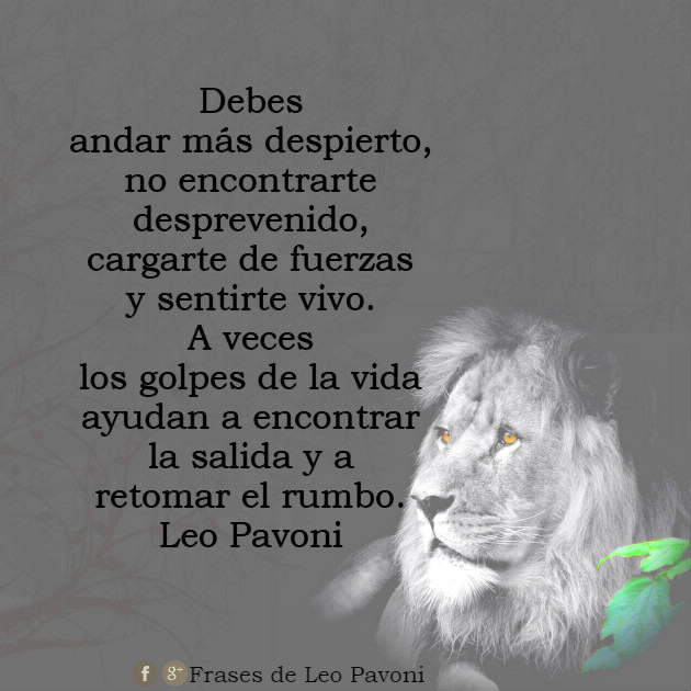 Frases de Leo Pavoni: Retomar el rumbo