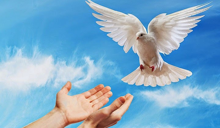 CARA AGAR ROH KUDUS TIDAK MENINGGALKAN KITA - Khotbah Kristen