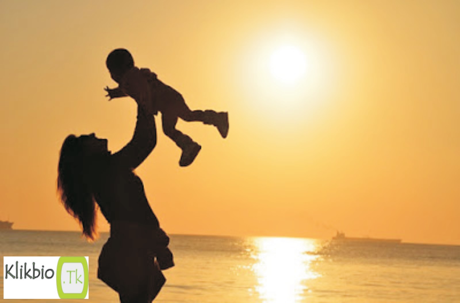 the legacy of MOM | Domain Biologi