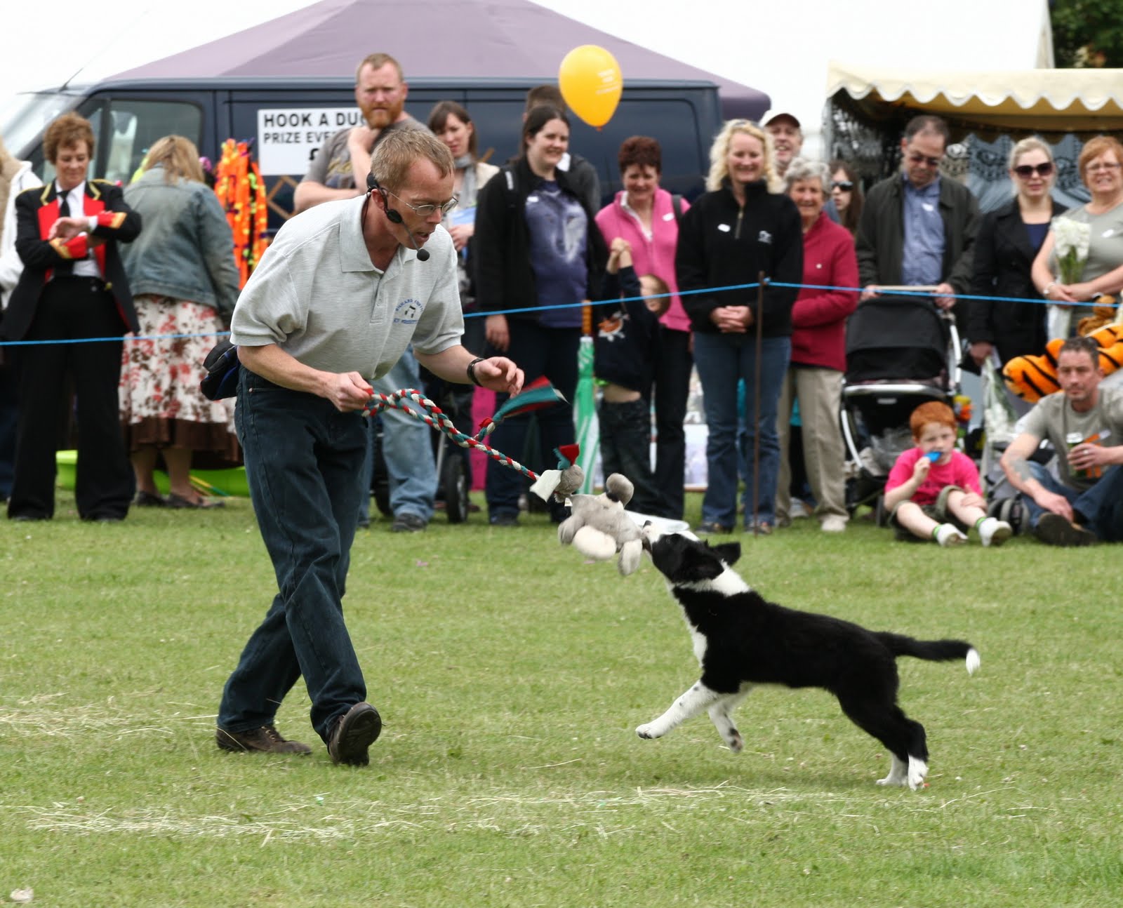 K9 freestyle dancing dogs
