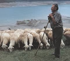 BlogdaMeg: O Papel do Pastor